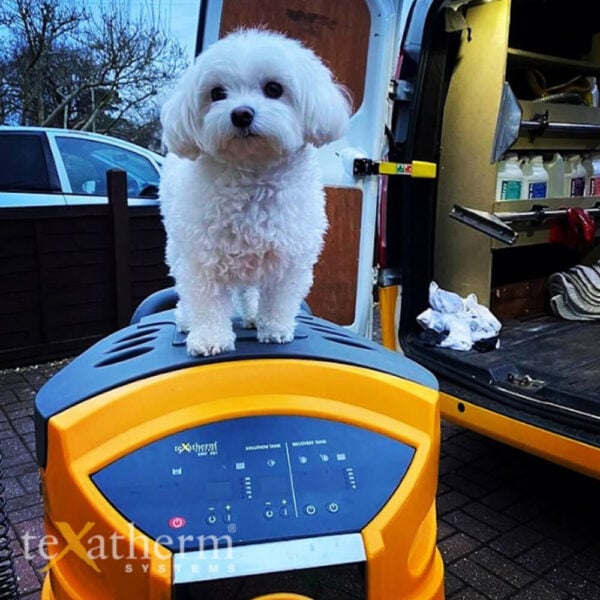 Which Size Van Is Best For A Professional Carpet Cleaning Business ...